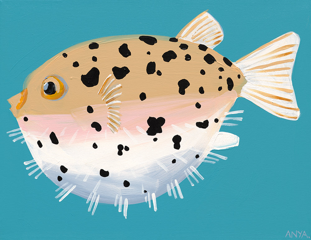 Paintings | Fish Fourteen | Anya Brock