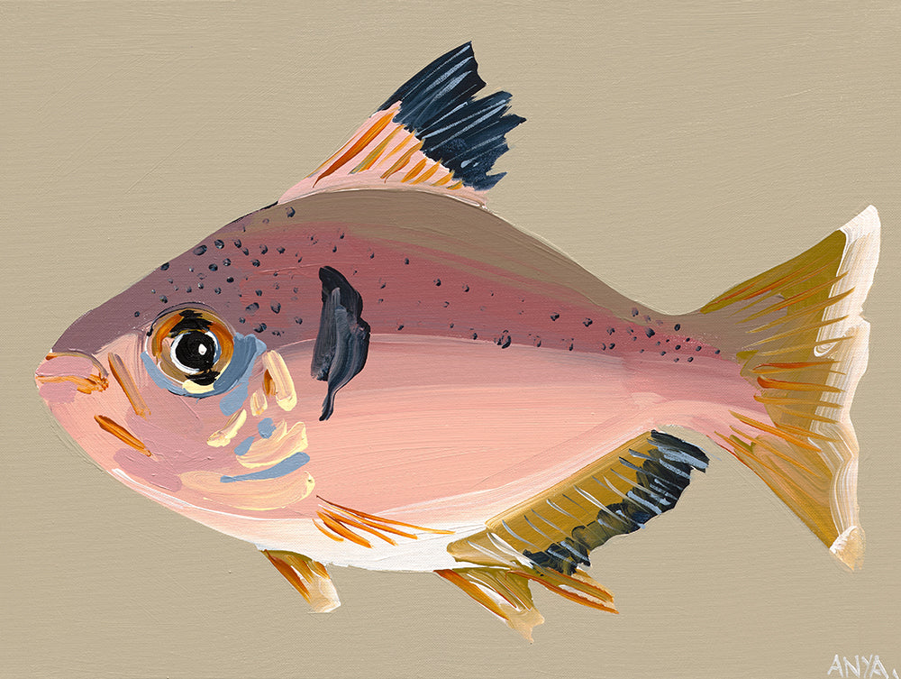 Paintings | Fish Nineteen | Anya Brock
