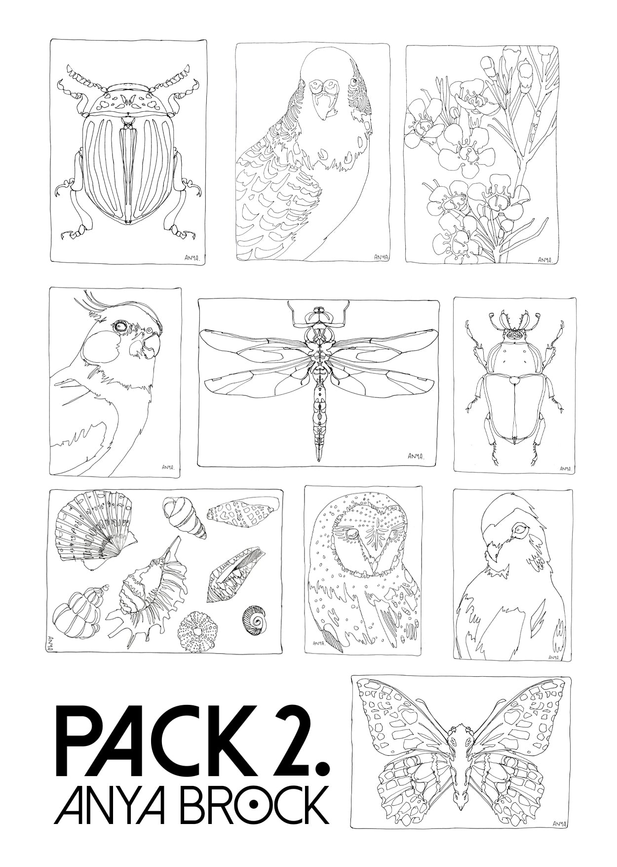 Colouring In Packs – Anya Brock