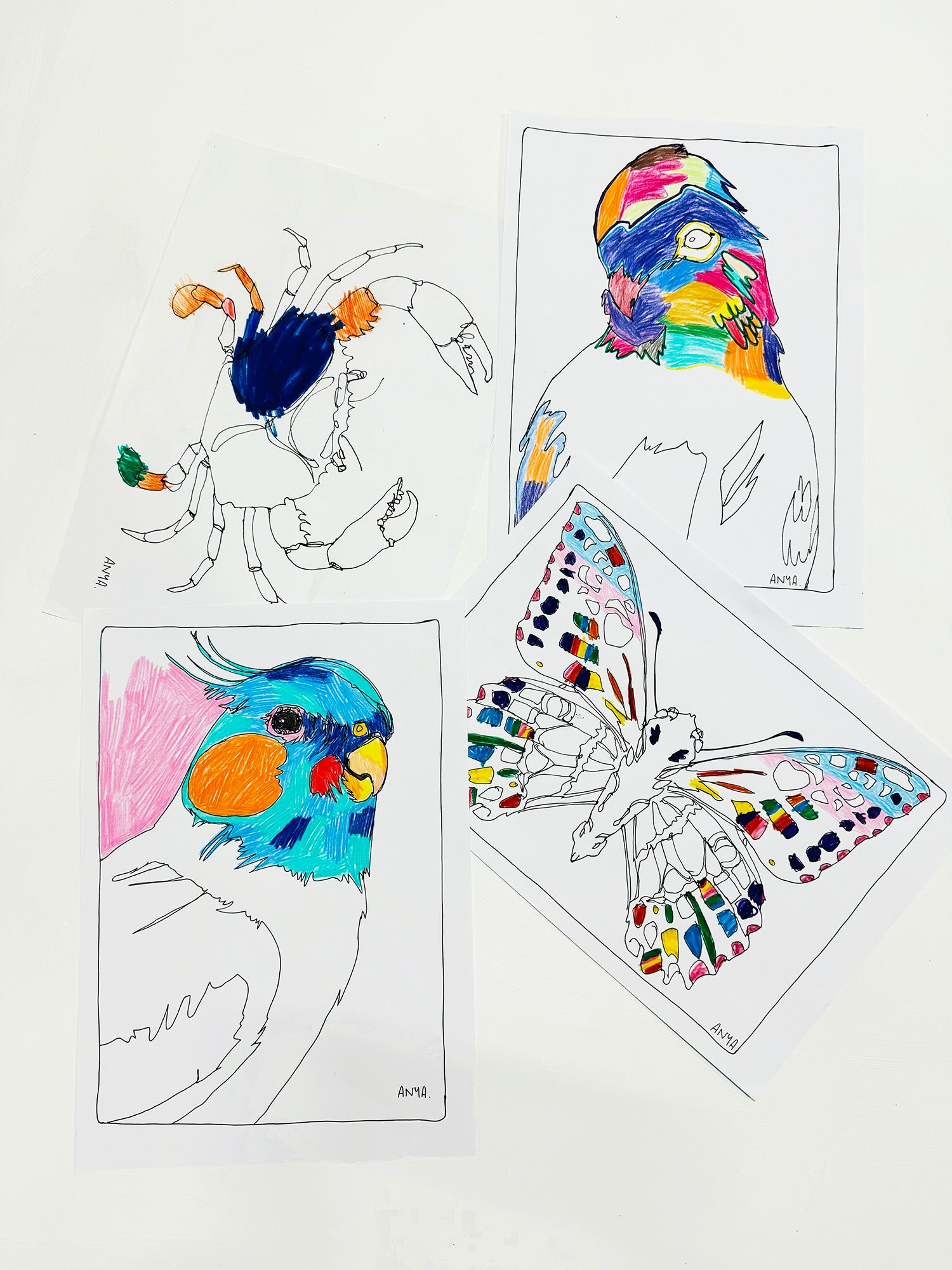 Colouring In Packs – Anya Brock