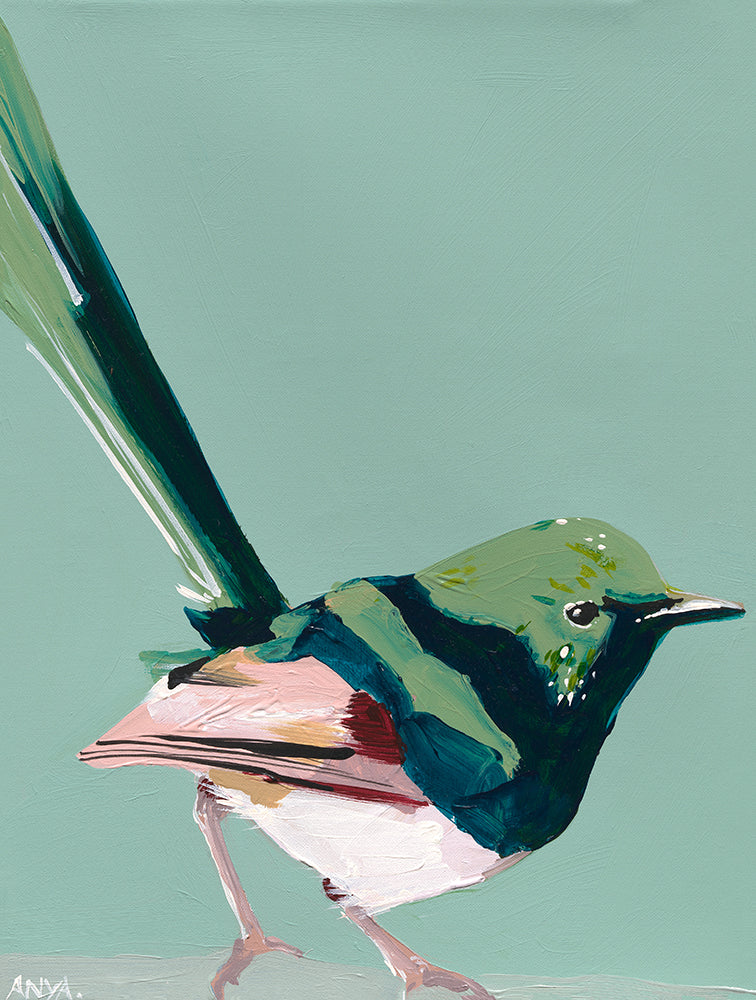 CANVAS PRINT | Wren Three | Anya Brock